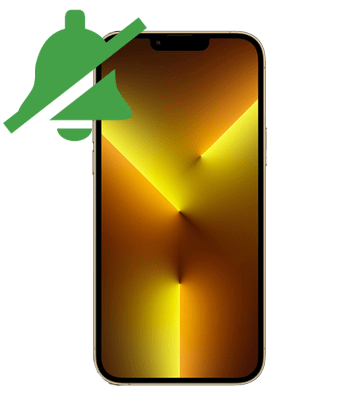 iPhone 13 Pro Max Vibrate Switch Repair